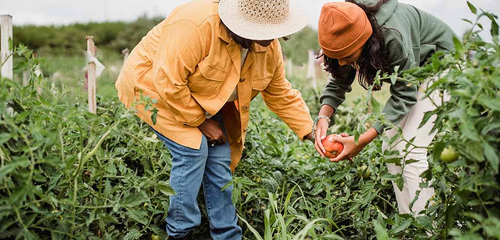 12 Gardening Side Hustles: Best Ways to Make Money Gardening